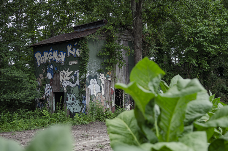 Summer Photo Op: Cameron's Painted Barns : The Sway