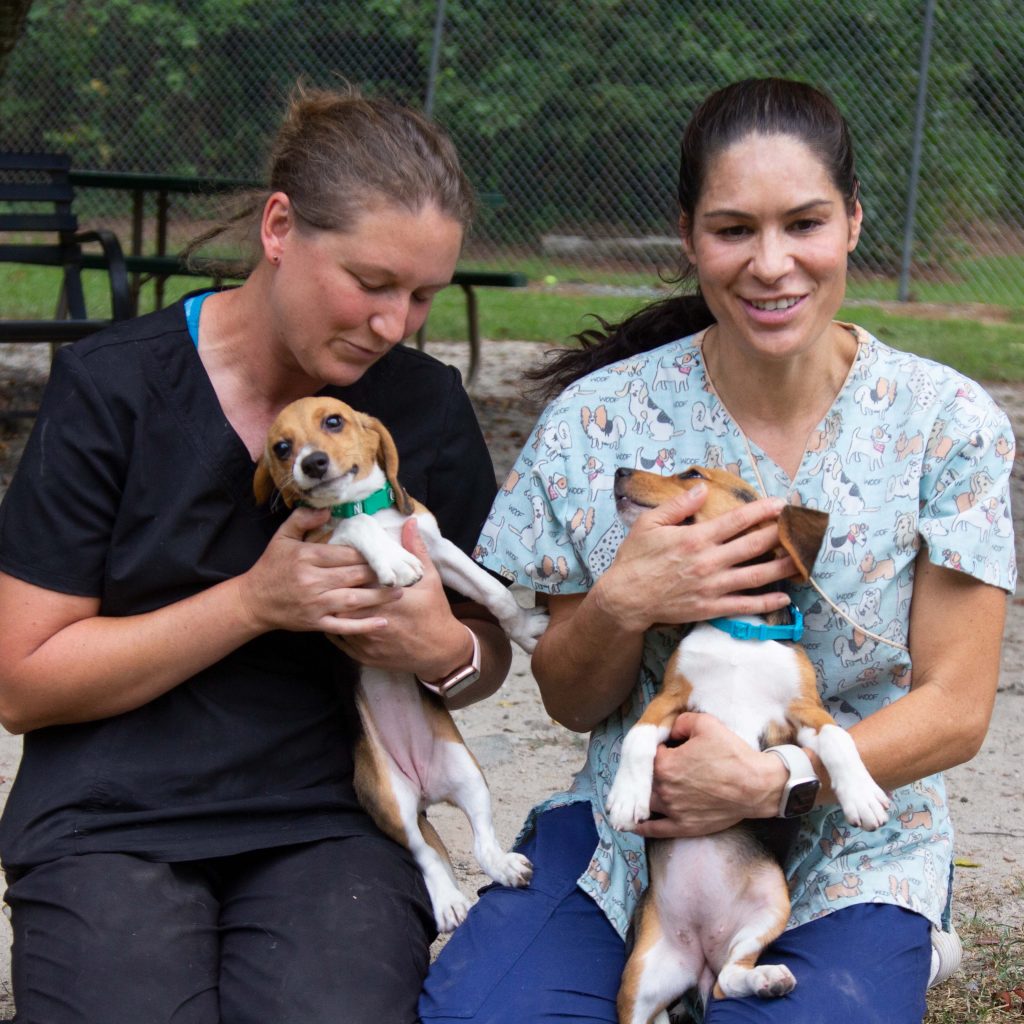 A Pawsitive End to This Tail : The Sway