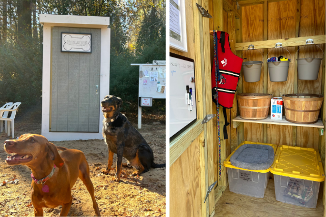 Check Out This Shed : The Sway