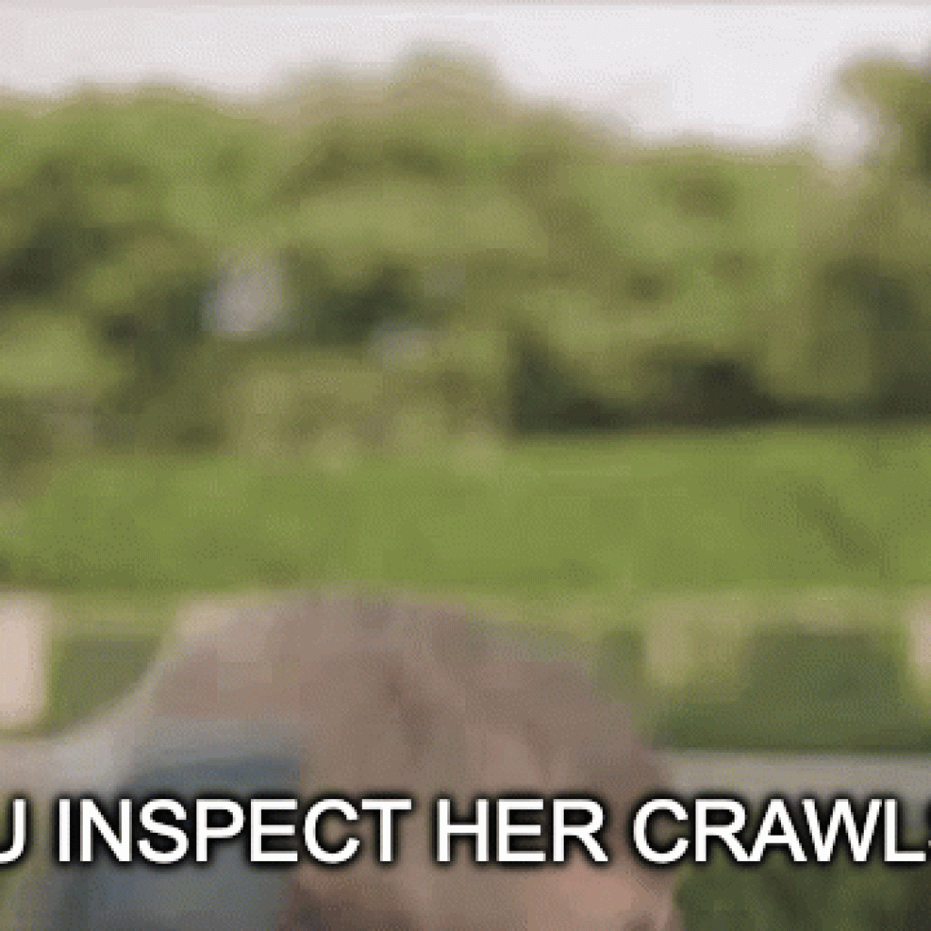 You Want a Blank (Crawl) Space, Baby: Call Crawlspace Medic : The Sway