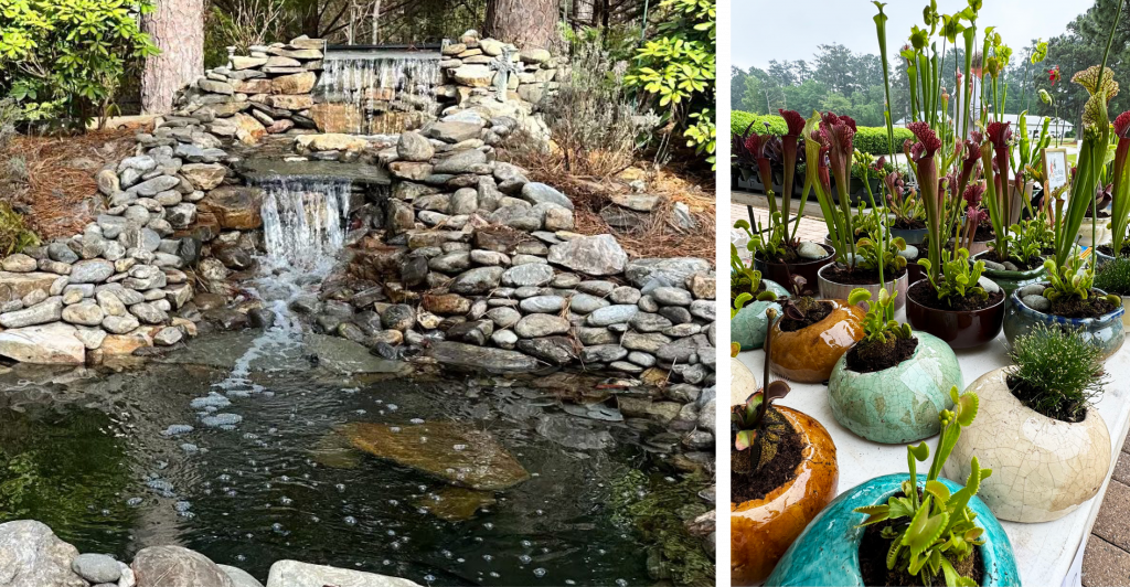 Star Ridge Aquatics Will Create an Oasis You'll Be Pond of