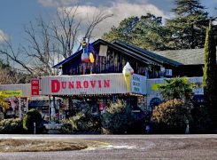 The Sway: Your Insider's Guide to The Pines.