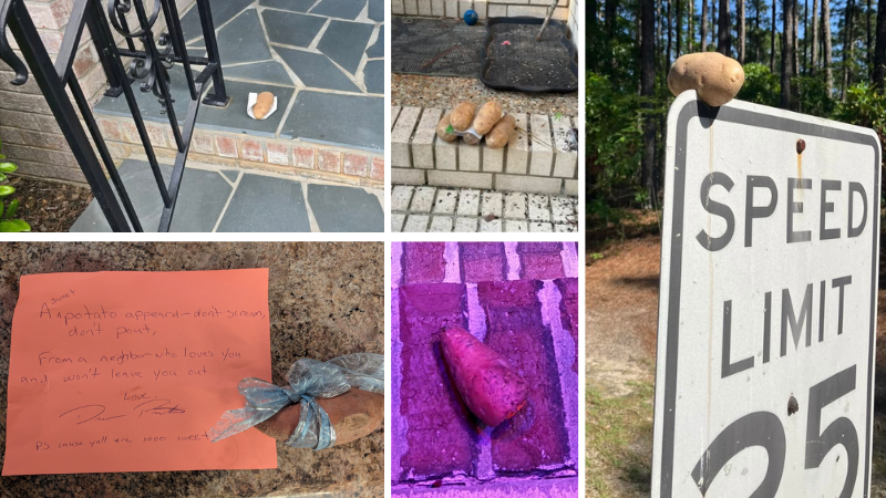 The Starch Knight Takes Seven Lakes : The Sway